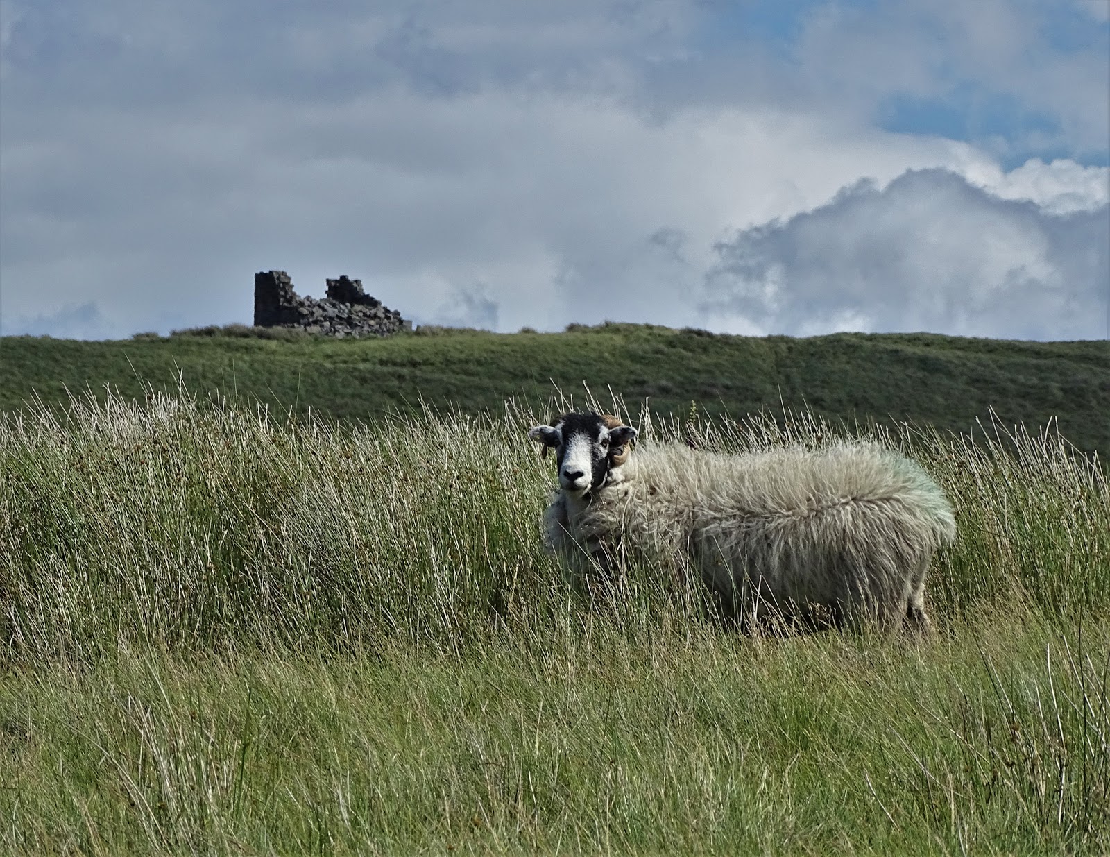 Yorkshire Pudding: Anticlockwise