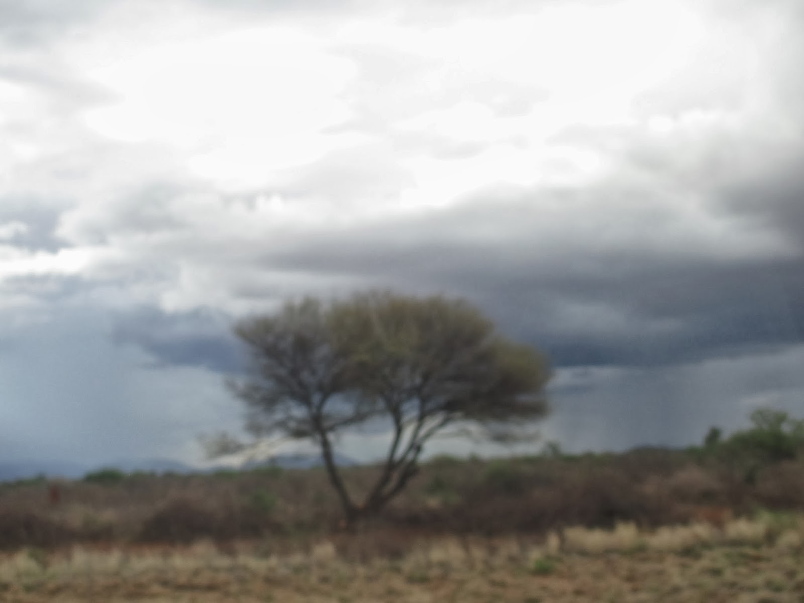 Loletta in Namibia: Back to Kalkfeld- a storm rising