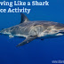 Share it! Science : Surviving Like a Shark Energy Transfer Game