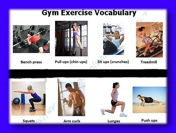 Gym Exercise Vocabulary English Language gym-exercise-vocabulary-english-language