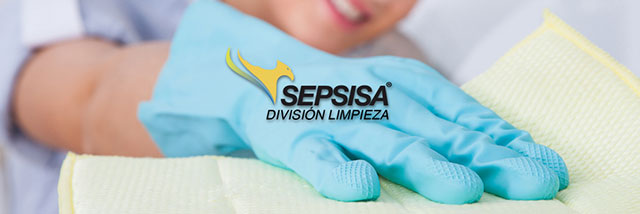 SEPSISA - Seguridad Privada