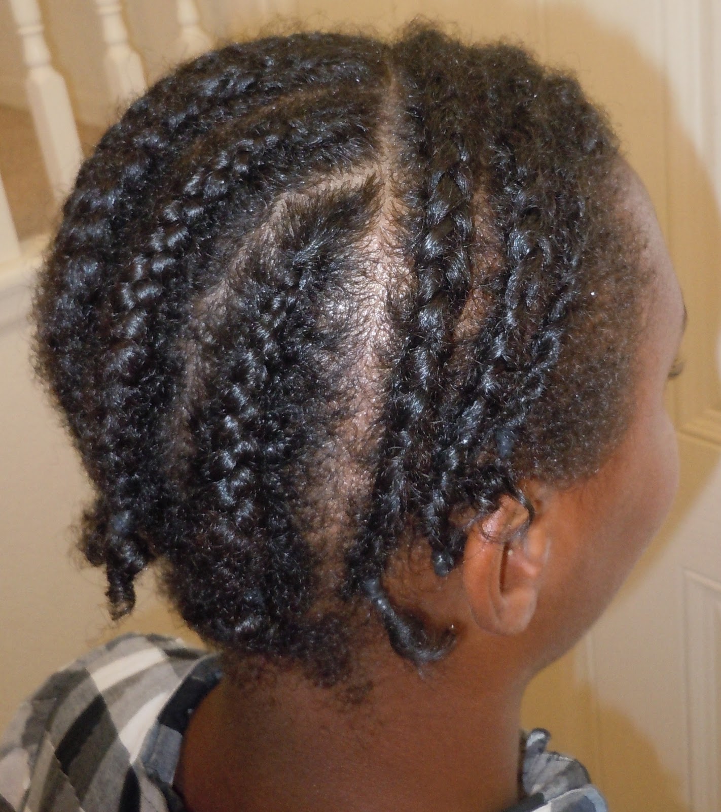 Scraps of Home: First Corn Rows