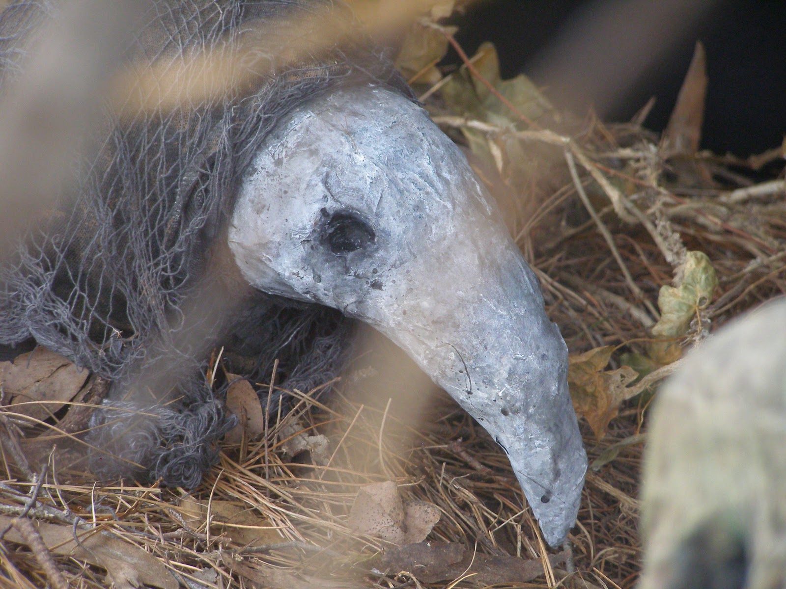 The House of Marrow: Marrow House 2011 - The Second Great Plague