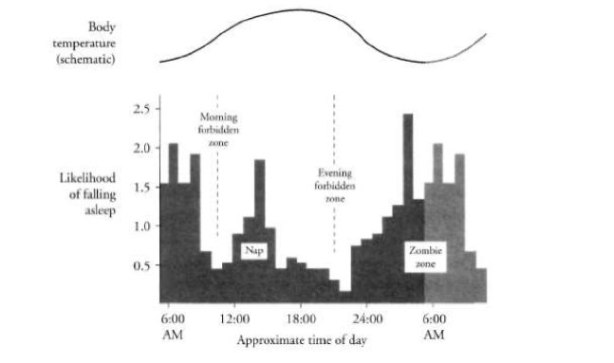 SIKLUS TIDUR DAN JAM BIOLOGIS TUBUH - PlusMinus
