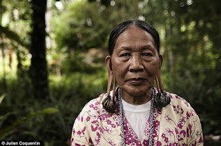 Penan Group: Background of Penan People