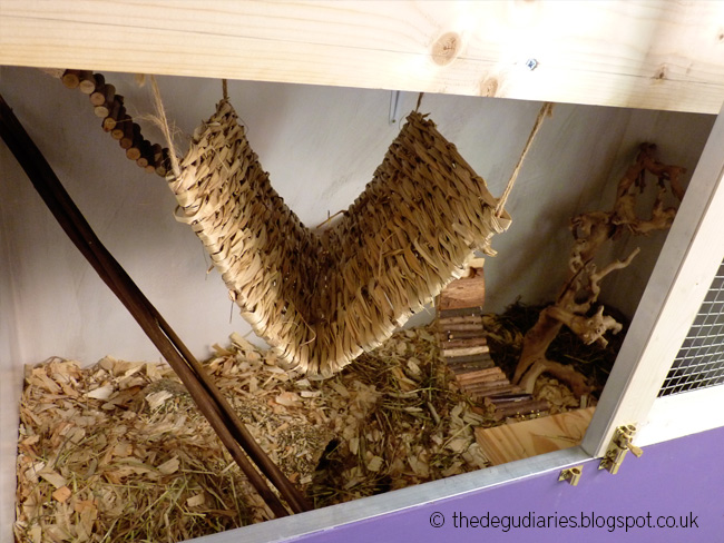 Degu Home Decor