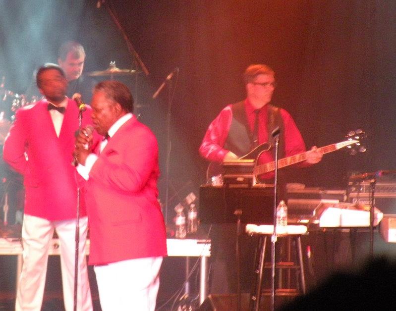 Concerts At Sea: Meet Concerts At Sea house band J.R. and the Stingrays