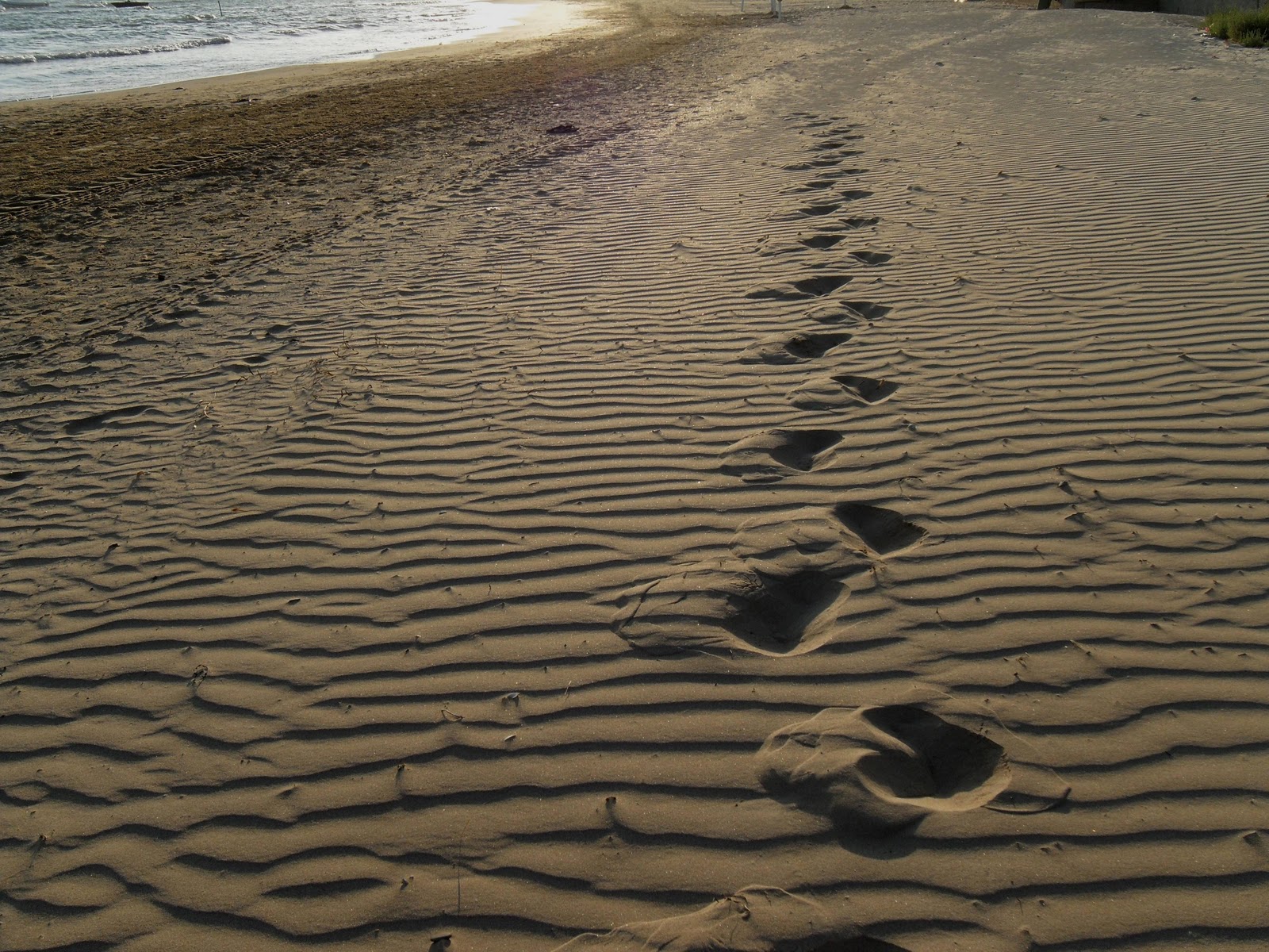 In... visibile: Seguimi!