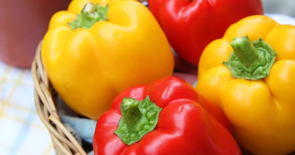 Kilimo Bora Cha Pilipili Hoho ~ TANZAKILIMO