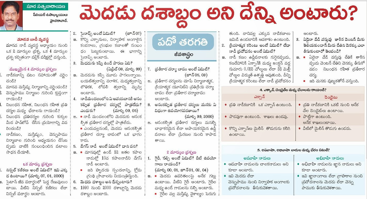 Round Table High School: 10TH CLASS VIDYA