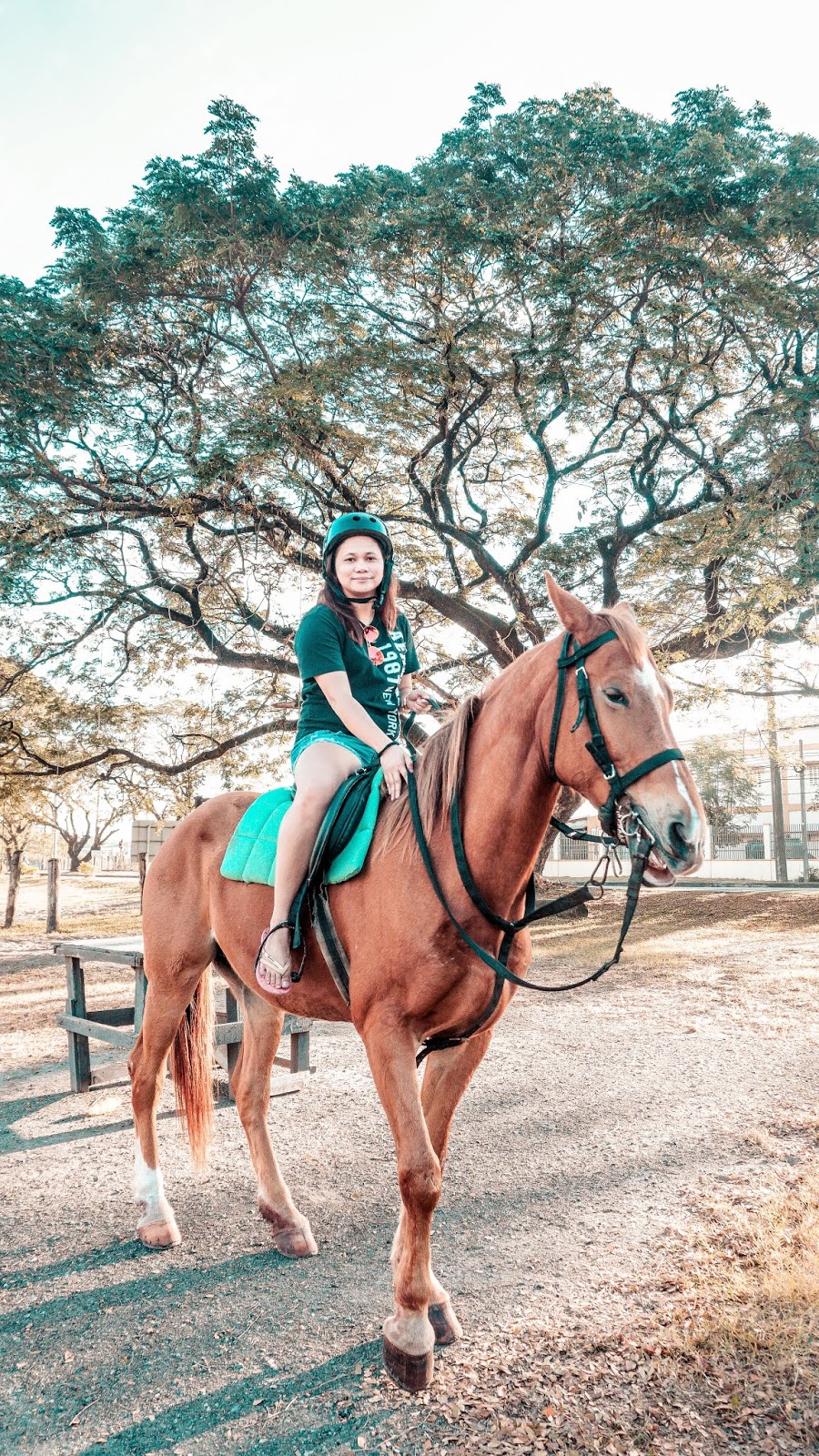 Glamping + Cheese & Wine Kind-of-Night at El Kabayo Clark Stables ...