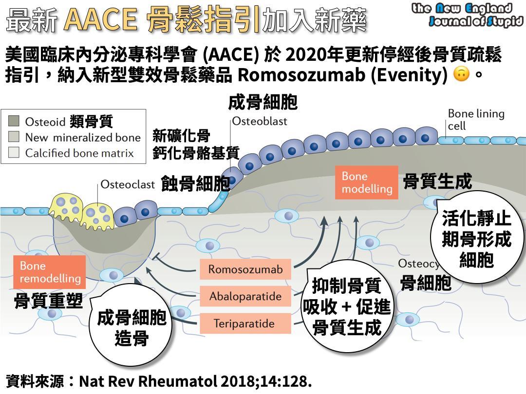 美國內分泌專科醫學會 (AACE) 更新停經後骨質疏鬆治療指引 - 納入新藥 Romosozumab (Update of AACE/ACE ...