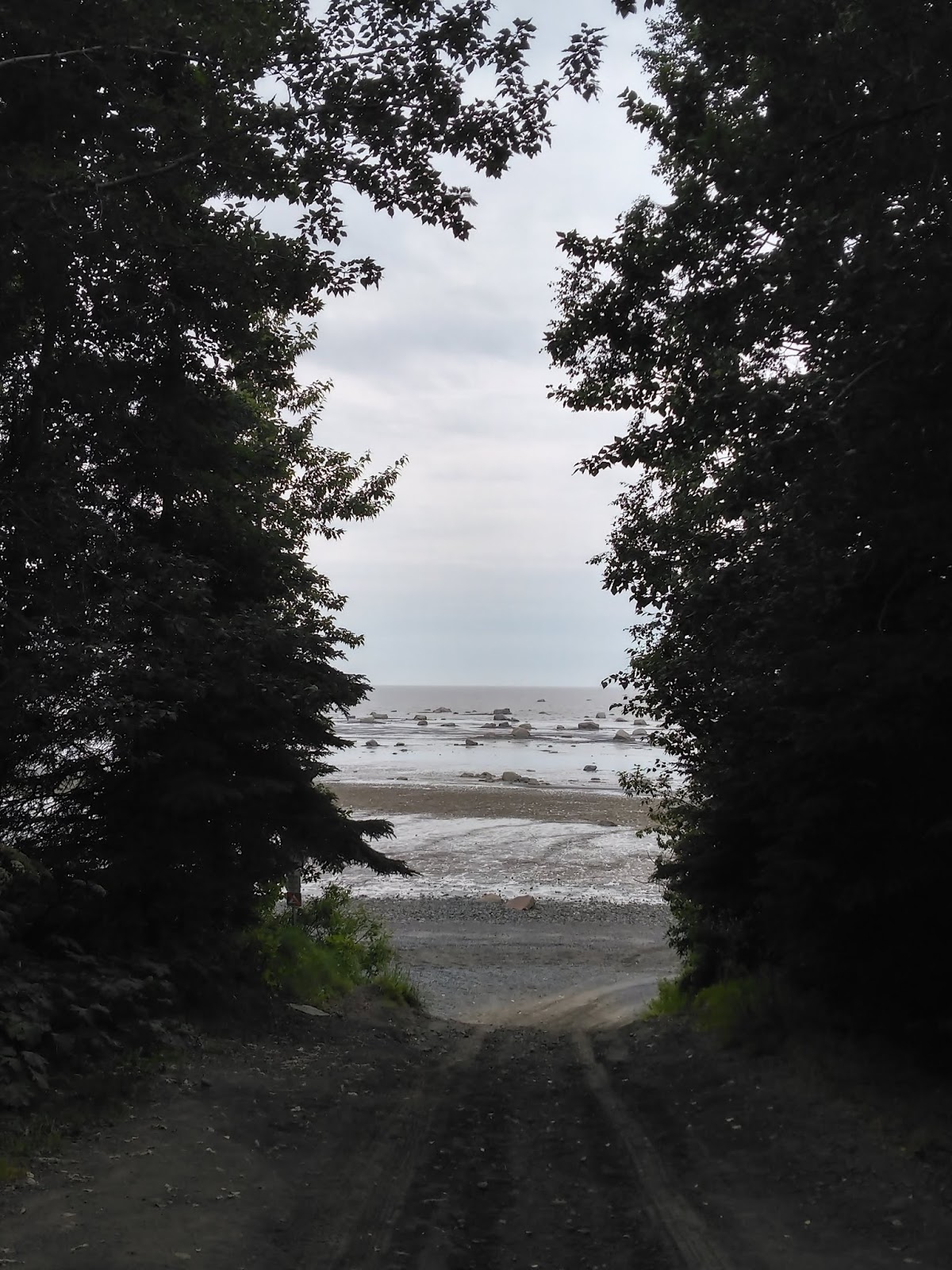 Dave'n'Kathy's Vagabond Blog: North Along Cook Inlet to Captain Cook ...