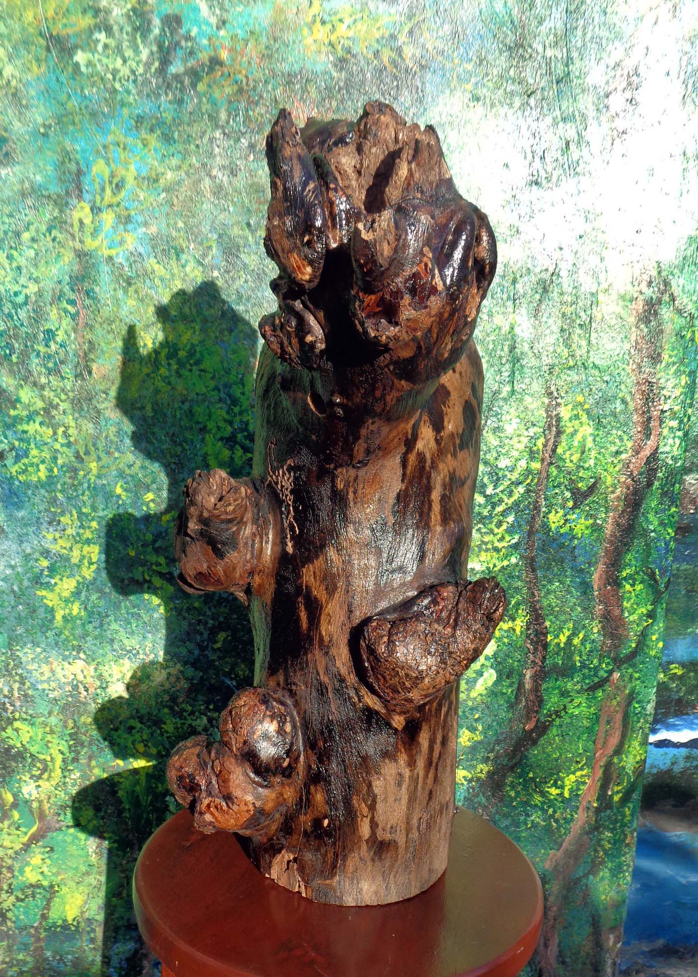 Naturalism - the Eighth Sense: Nature's Trophy: Cryptic Image of a ...