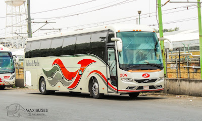 MAXIBUSES: 2021
