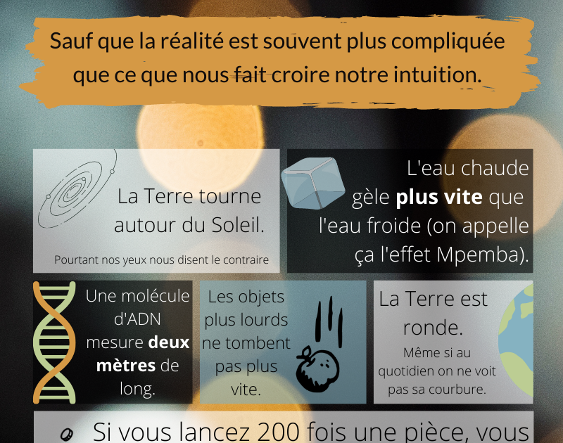 Infographie : C'est du bon sens