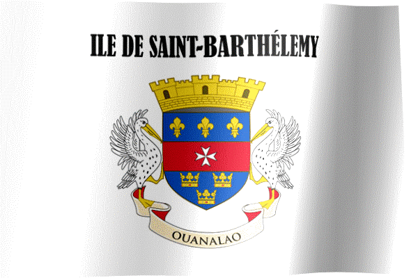 Flag Of Saint Barthélemy All Waving Flags