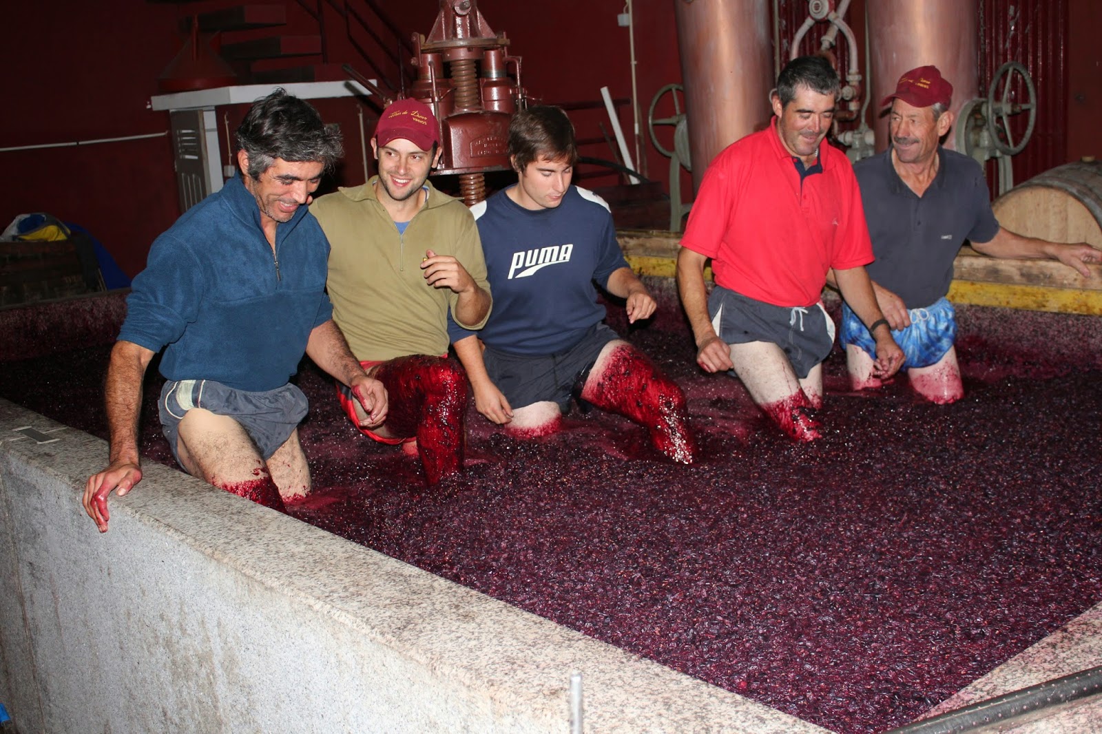 Vila de Moimenta da Beira na internet: «Notícia» - Cooperativa faz ...