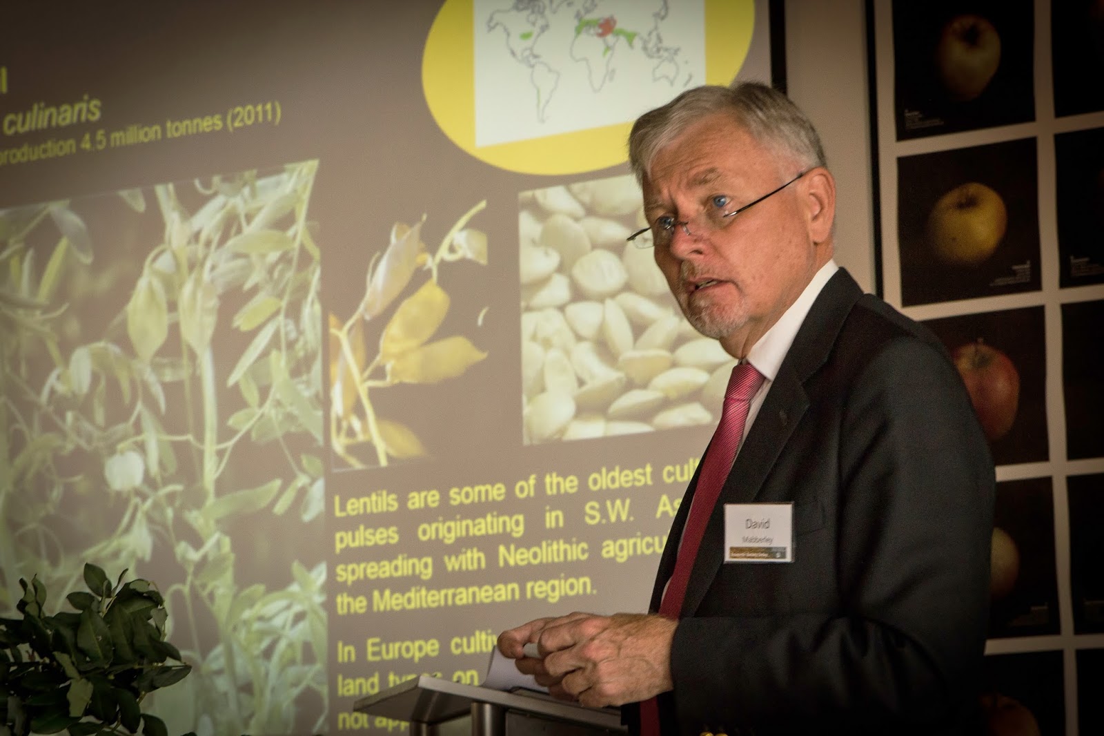 d r i n k s t e r: AMAZING DAYS WITH DAVID MABBERLEY