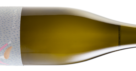 Tar and Roses Prosecco NV - QWine Reviews