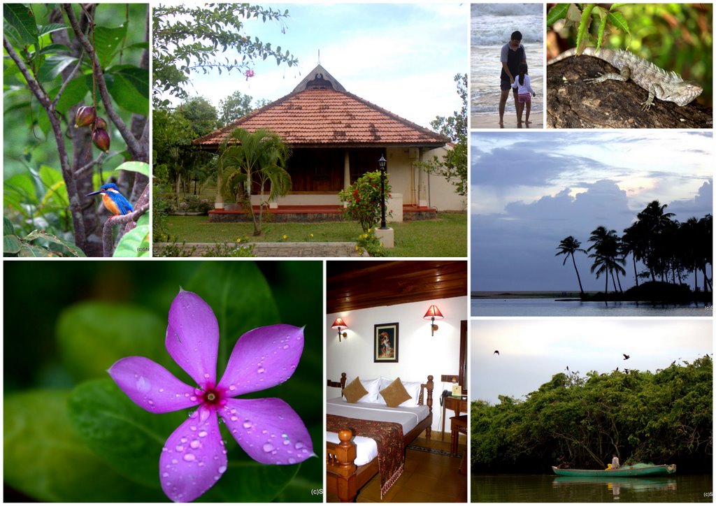 Kanyakumari, Poovar - Artsy Craftsy Mom