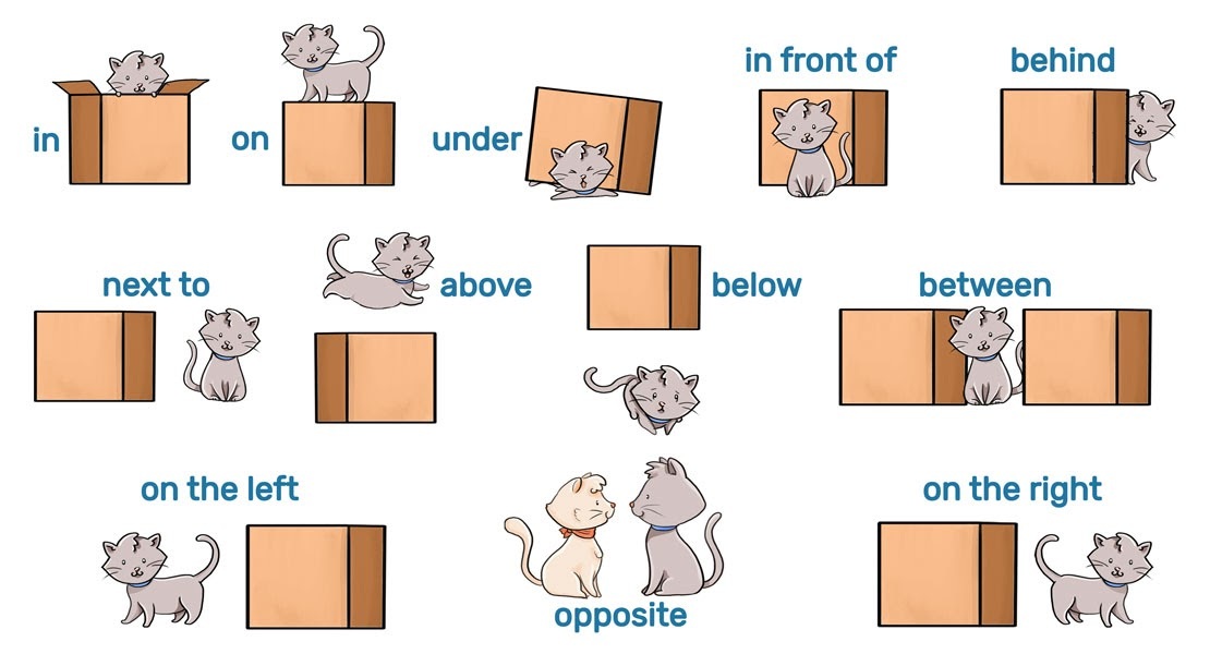 Prepositions of Places - Las preposiciones de lugar