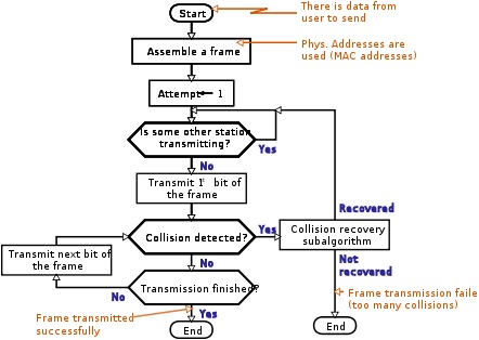Networking (Tutorial-8) IEEE Standards