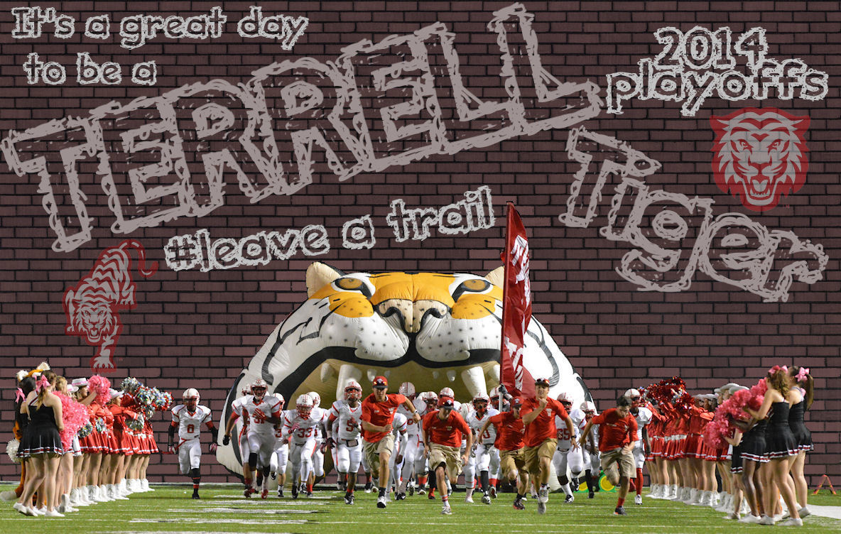 Terrell Daily Photo: Tigers Game Day!