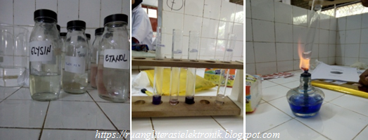 Biokimia_Protein (Kelarutan Asam Amino dan Uji Ninhidrin)