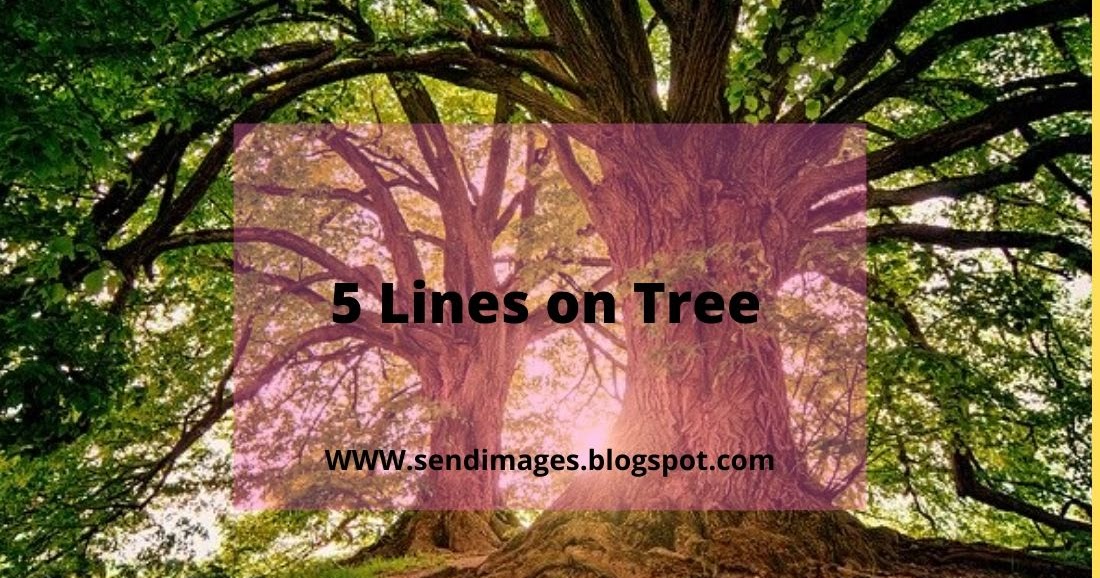 5 Lines on Tree | Five Lines on Tree