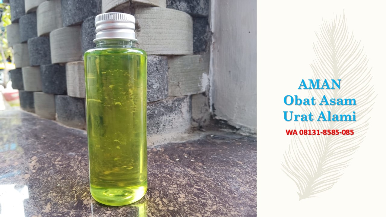 STOK TERBATAS WA 08131-8585-085 Obat Asam Urat
