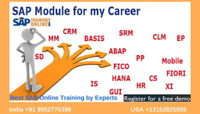 SAP BASIS Online Training: Online SAP Training | What is the Best SAP ...
