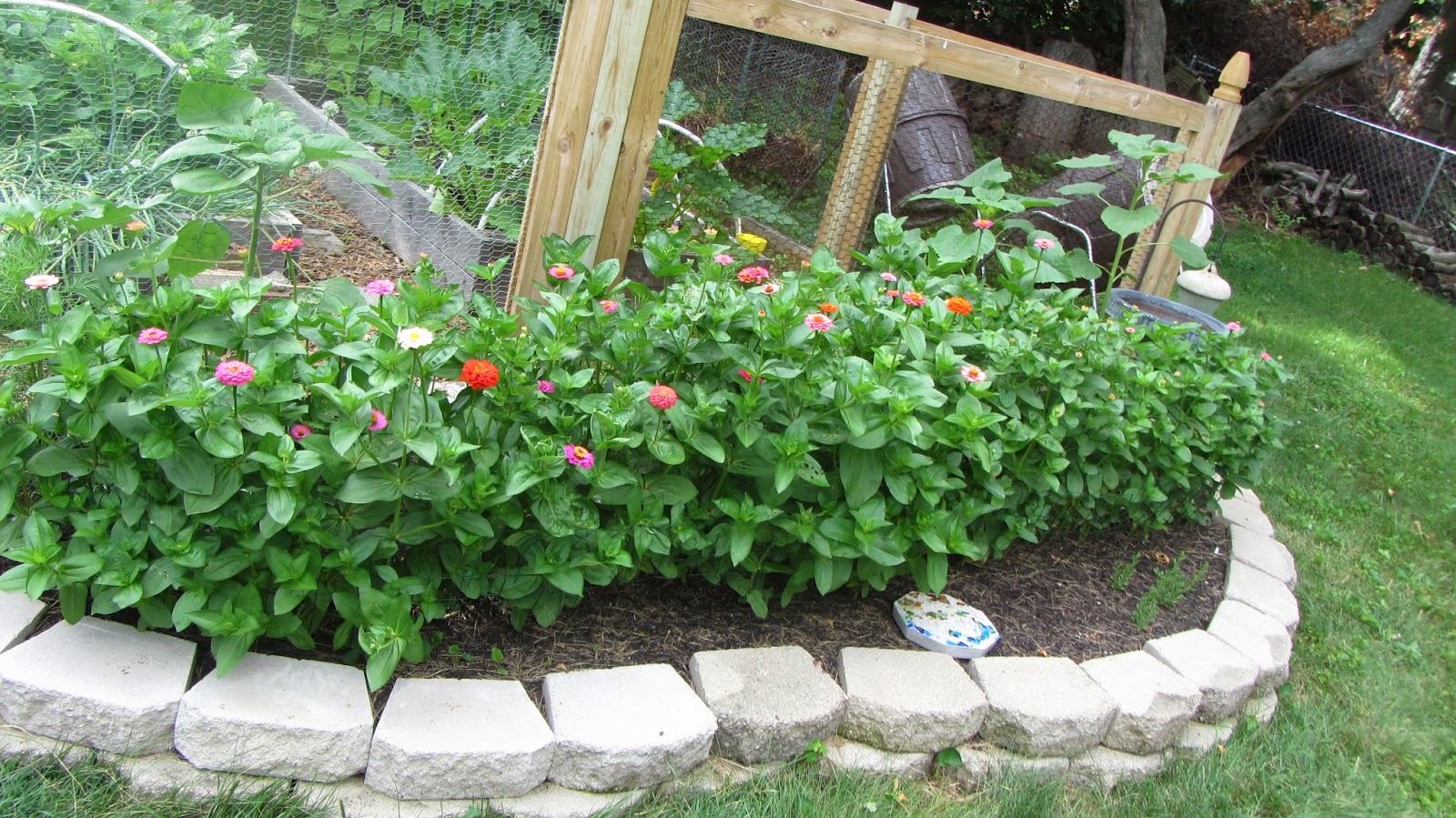 Following the Master Gardener: Gardening 101: Soil Preparation