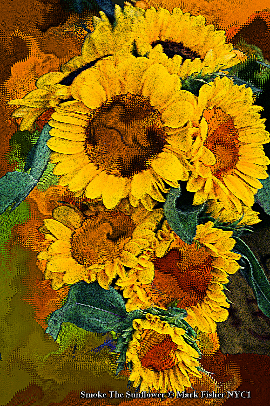 Mark Fisher New York City Photographer: Smoke The Sunflower • New York ...