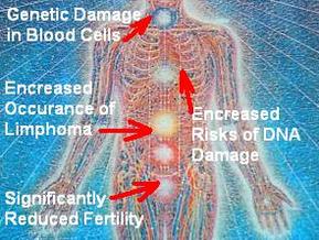 Targeted Individuals Canada: radiation and human radiation experiments