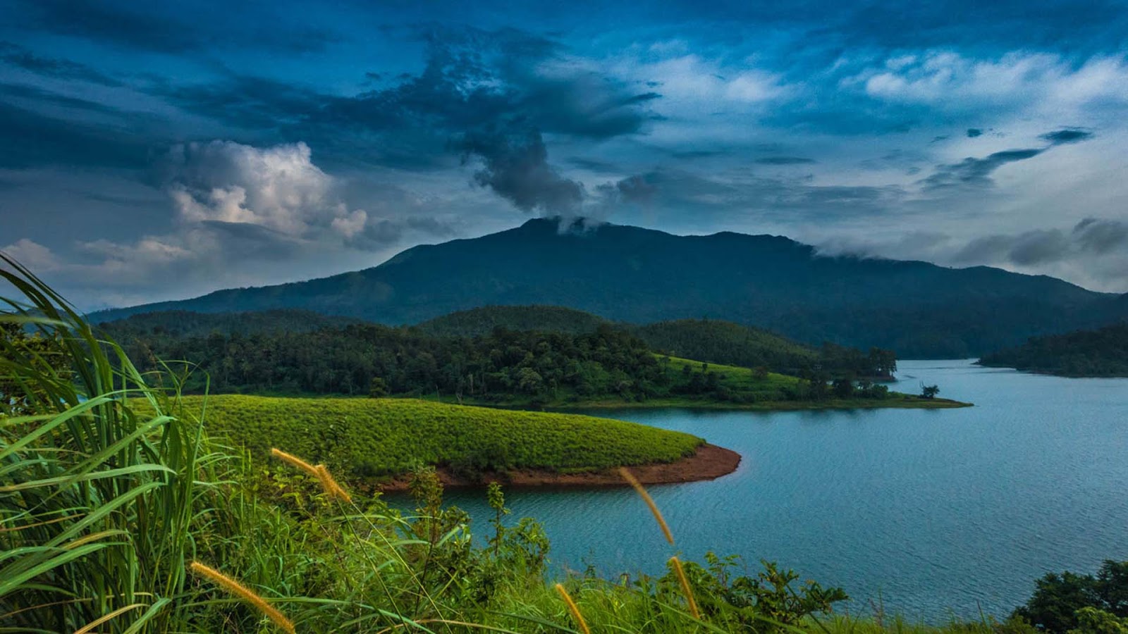 Stay @ Wayanad: Wayanad Info