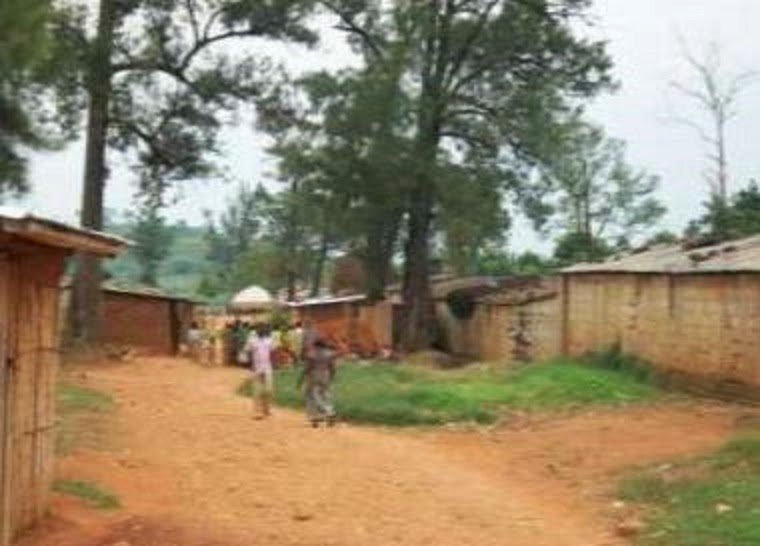 Nous les Black & White ou Nous les Nègres Blancs: 13 A - Mongbwalu suite