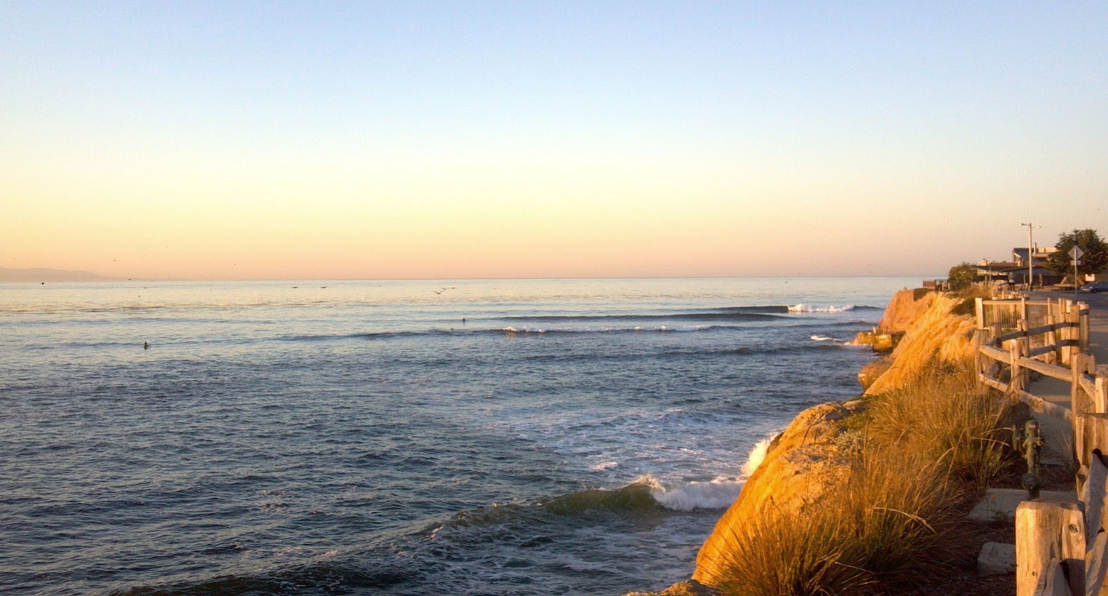 Forestdweller: Pleasure Point