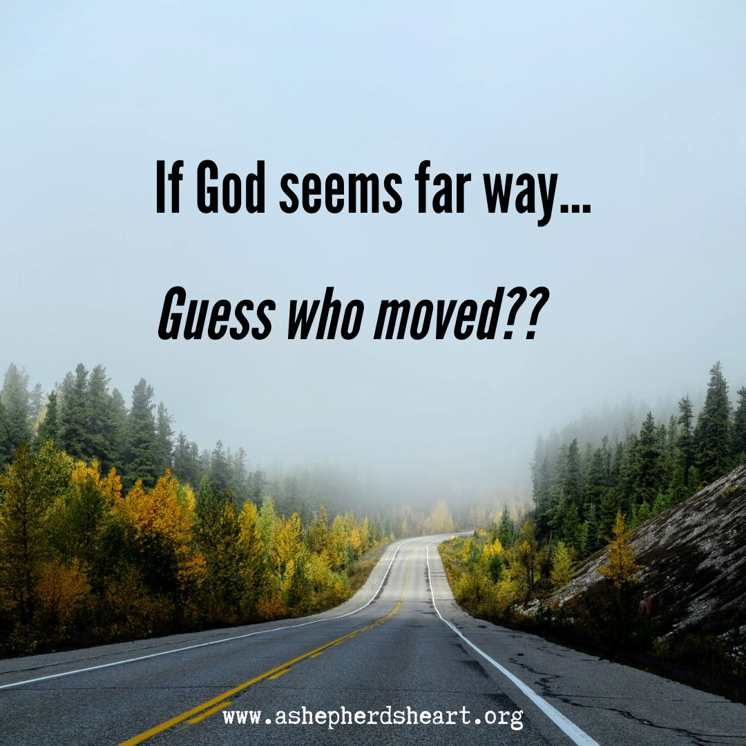 A Shepherd's Heart: 5 Practical Things You Need To Do When God Seems ...