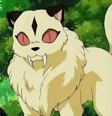 InuYasha!: Personajes Principales: Grupo de InuYasha