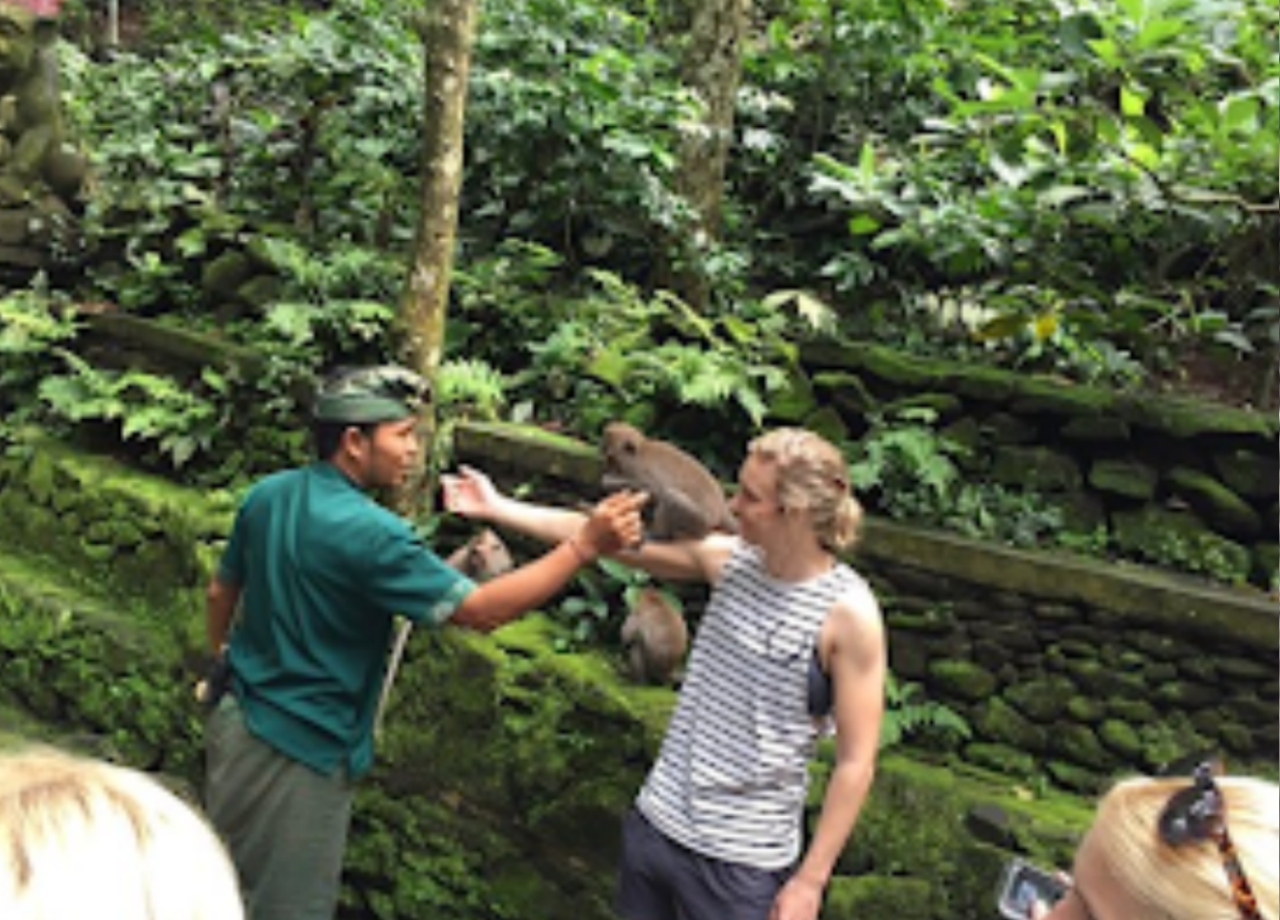 Wenara Padang Tegal, Ubud - Payana Dewa