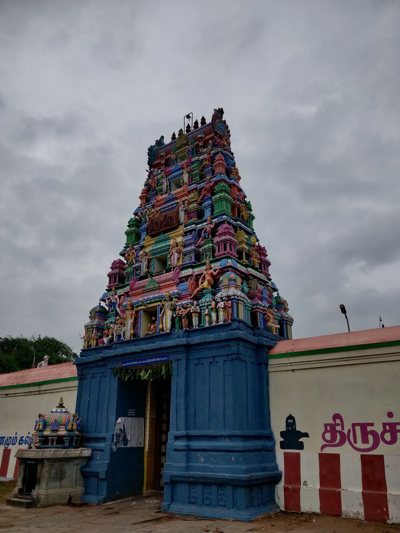 Temples To Go in India: Srimushnam and nearby