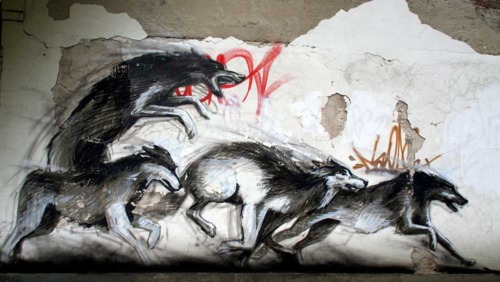 Stylus: Animal Wolf in Graffiti Art Ideas