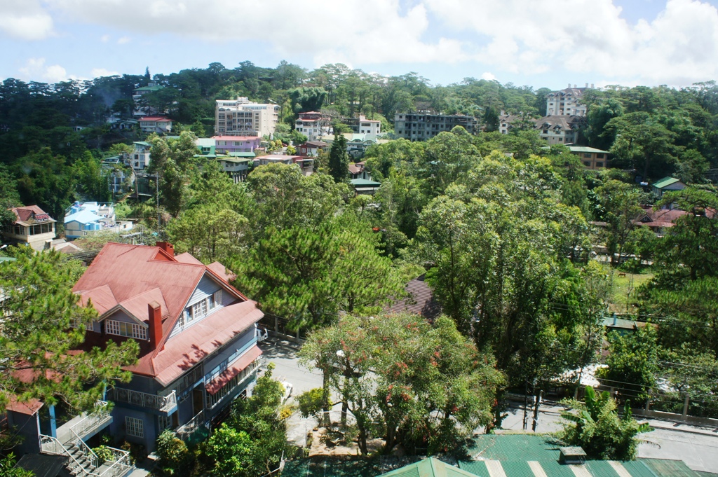 OUR PHILIPPINE TREES: My Last View of the SM Baguio Pine Trees