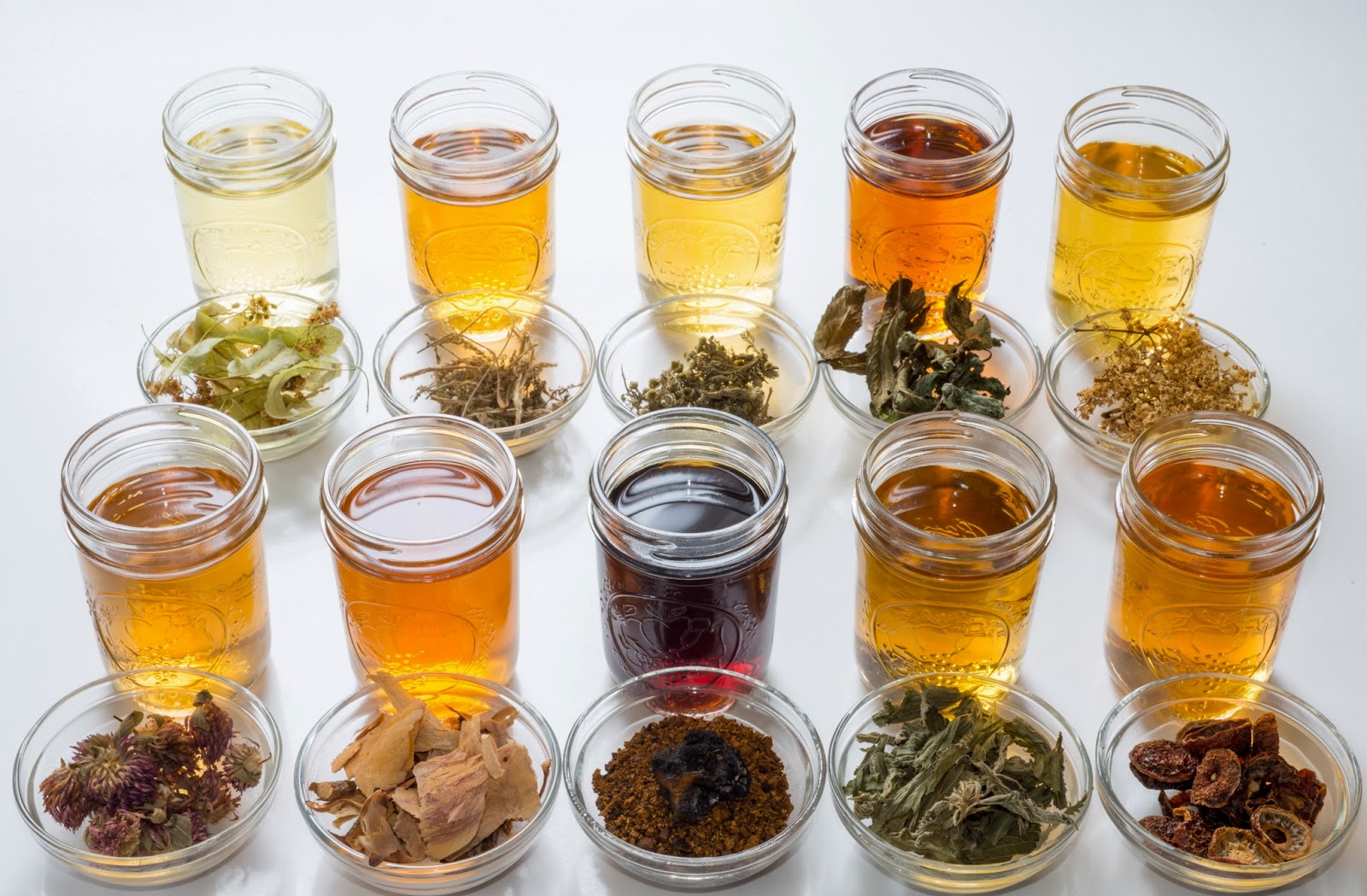 The 3 Foragers: Foraging for Wild, Natural, Organic Food: Tisanes