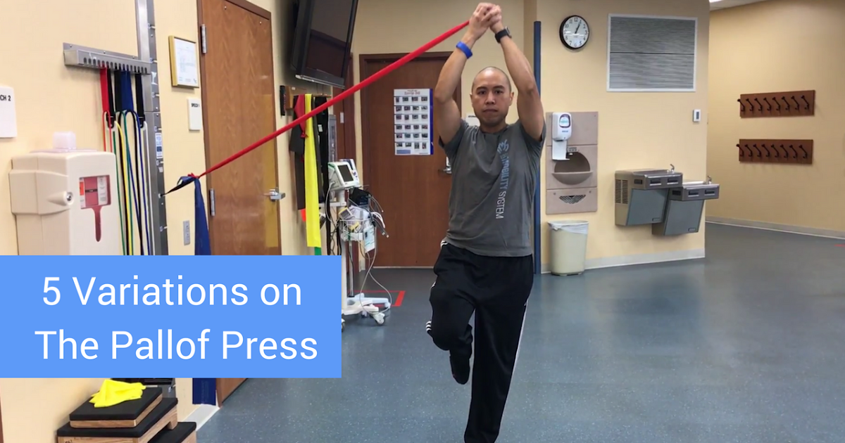 Top 5 Fridays! Challenge Your Stability with These 5 Pallof Press ...
