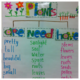 Little Miss Hood's Adventures in Kindergarten: Plants