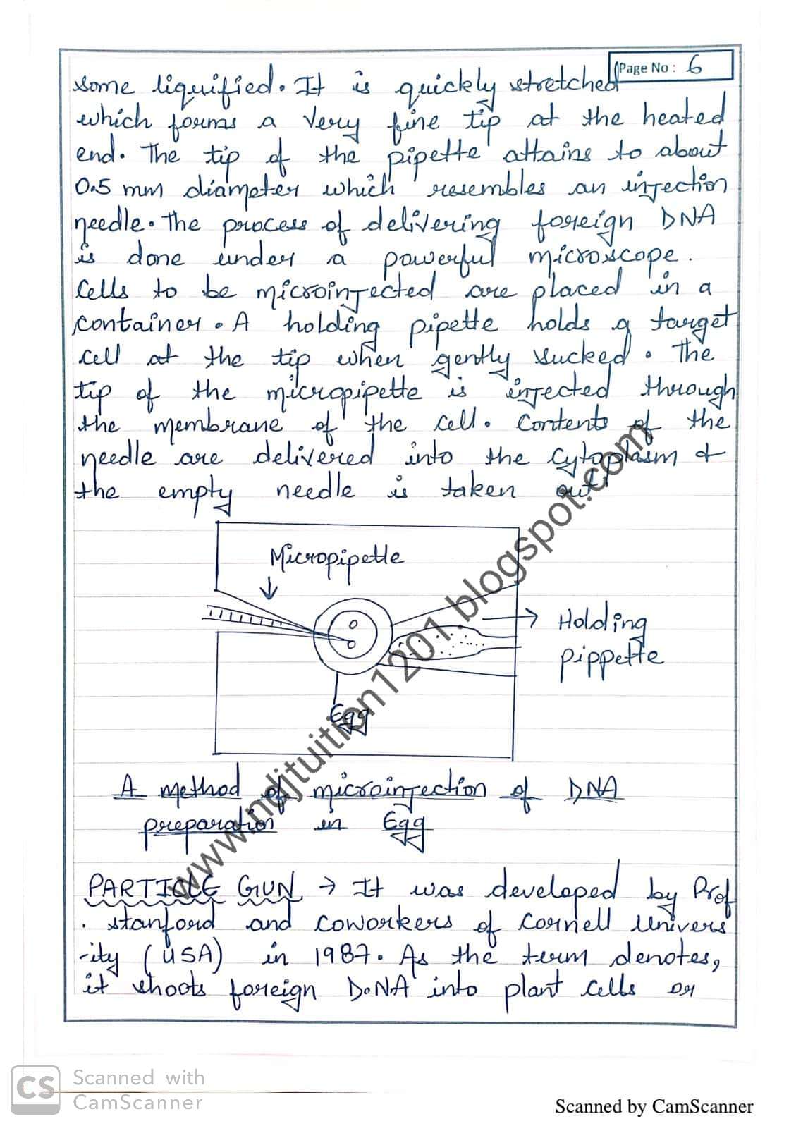 Biotechnology Principles and Process Handwritten Notes for 12th Biology