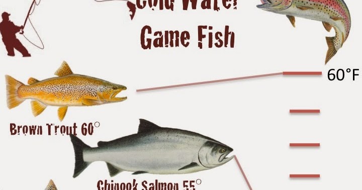 Drop A Line Outdoors, LLC: Understanding Gamefish By Temperature Pt.3 ...