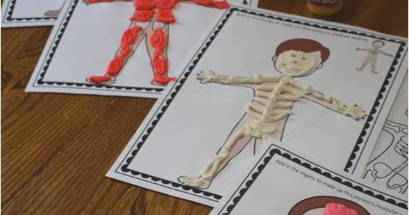 FREE Human Body Playdough Mats free-human-body-playdough-mats